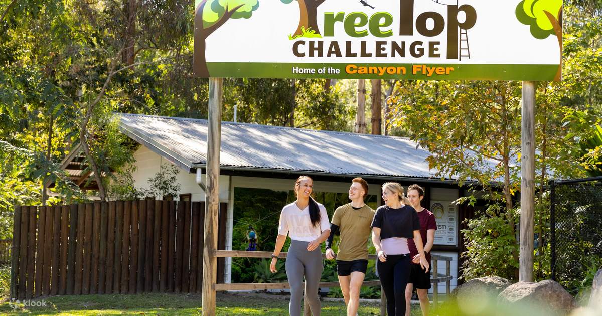 TreeTop Challenge at Tamborine Mountain from Gold Coast - Klook Australia