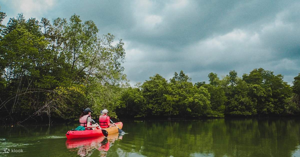 Nature Kayaking - Klook