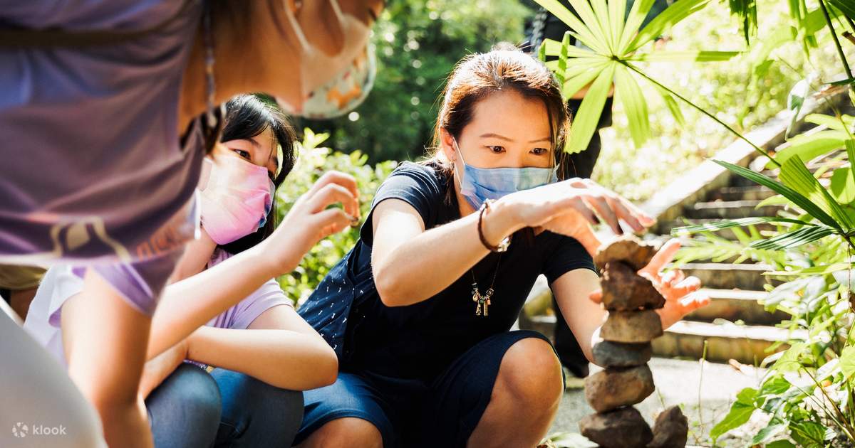 Sentosa Island Walk Magical Discovery Sentosa Walking Tour from ...