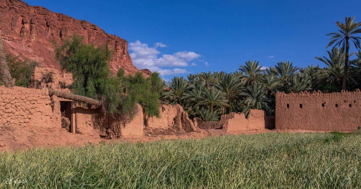 Oasis Heritage Trail half-day guided tour - Klook