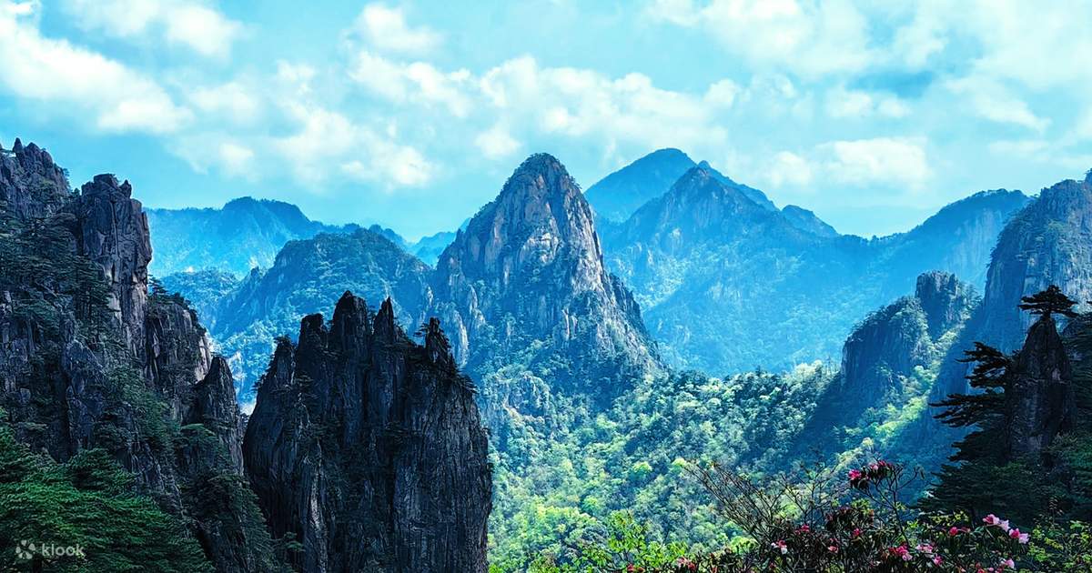 One-day tour of Huangshan Scenic Area in Anhui (Huangshan Strange Pine ...