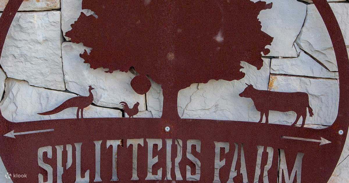 Splitters Farm Guided Tour in Bundaberg | Klook