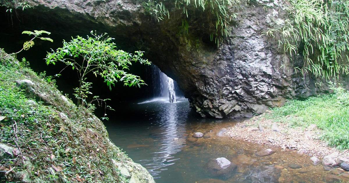 Springbrook National Park and Wildlife Day Tour with Chinese Guide - Klook