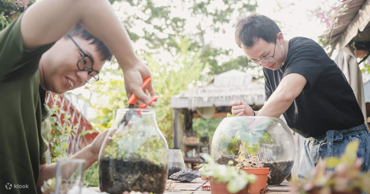 Lokakarya Terarium Besar di The Sundowner - Klook Indonesia
