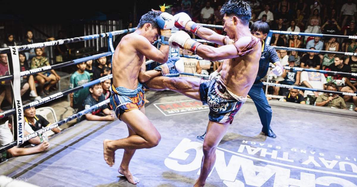 koh chang muay thai boxing - Klook