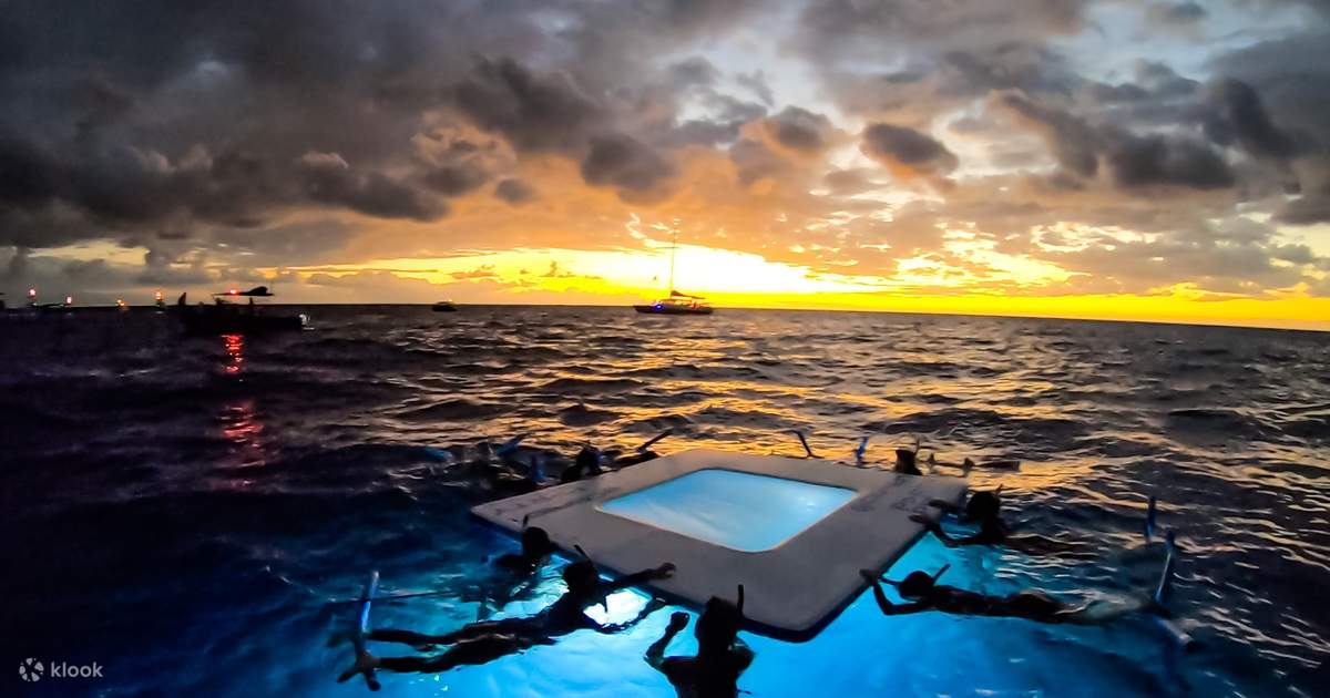Kona Manta Ray Night Snorkel with Sunset Cruise Tour - Klook