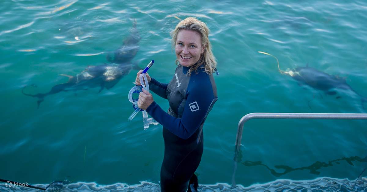 Swim with the Tuna in Oceanic Victor at Victor Harbor - Klook Stati Uniti