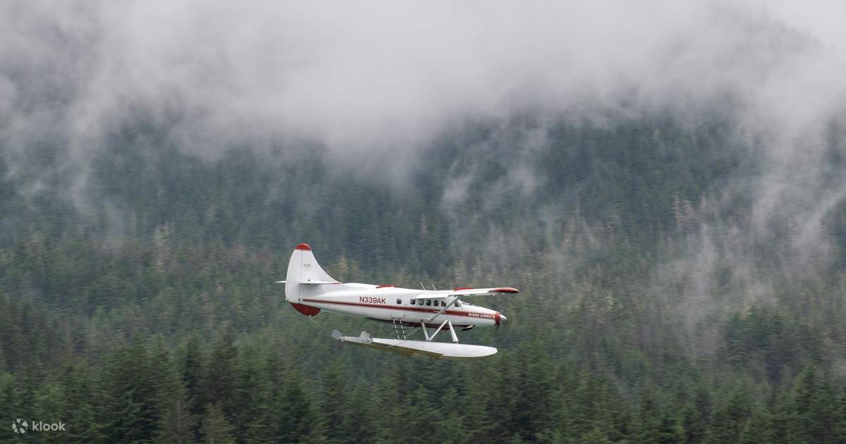 Misty Fjords Flug- und Kajaktour in Ketchikan, Alaska - Klook ...