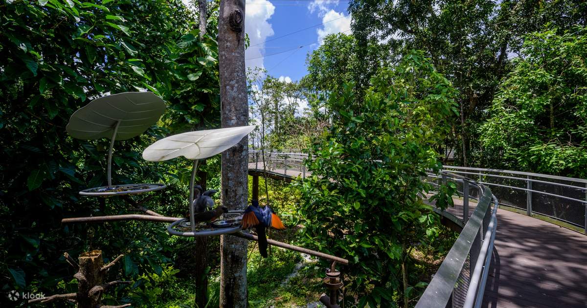 Bird Paradise Ticket in Singapore - Klook Hong Kong