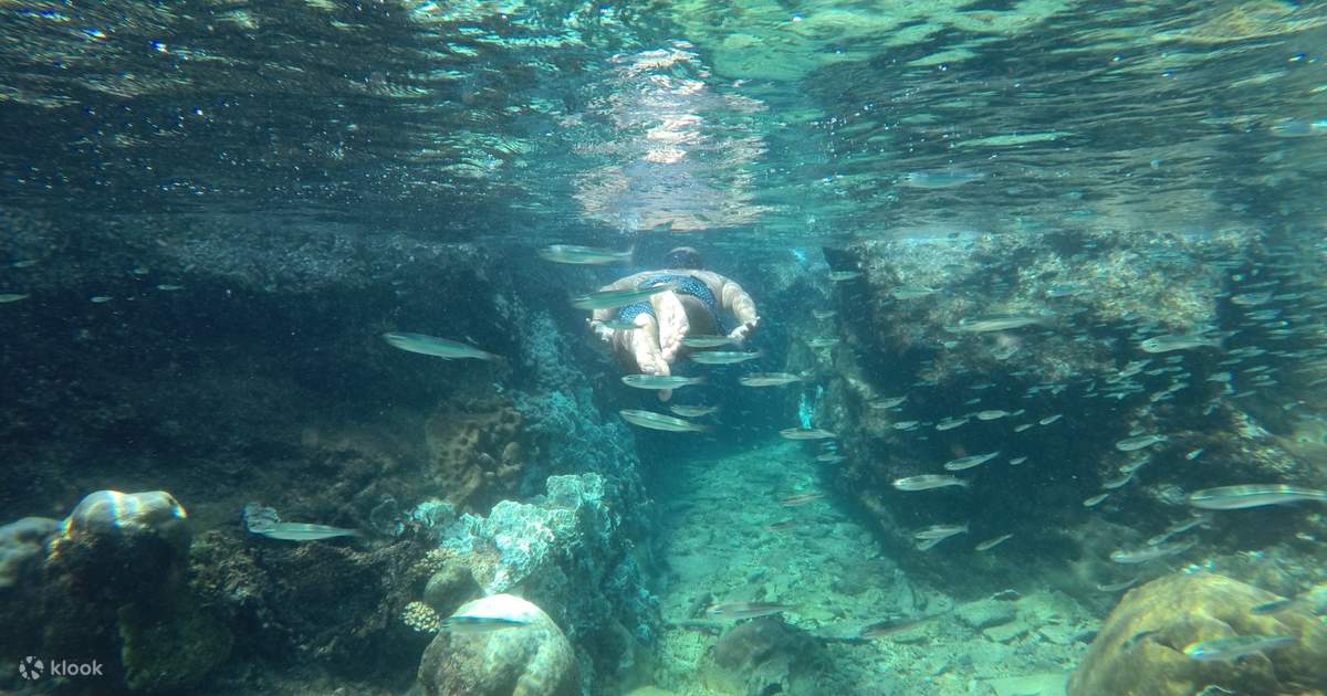Private Boat Snorkeling Experience with Turtle Watching at Redang ...