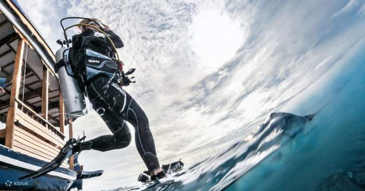 Confined Water Diving Experience - Klook