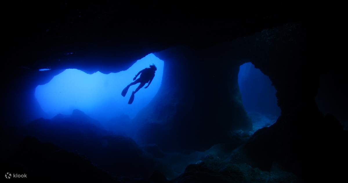 Lawatan Selam Setengah Hari di Kepulauan Balearic dengan PADI 5 Star ...