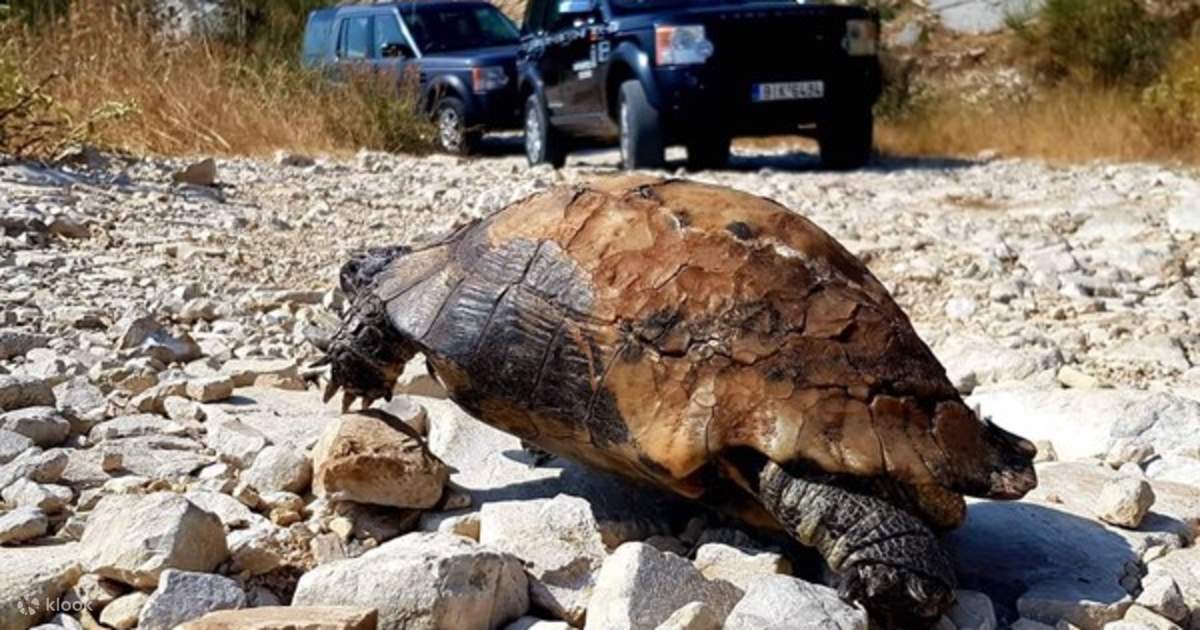 Découvrez et explorez davantage le nord de Corfou - Klook États-Unis