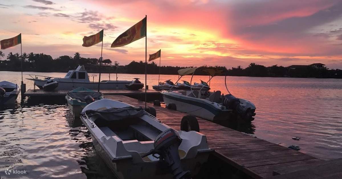 Mangrove River Safari Experience in Bentota - Klook