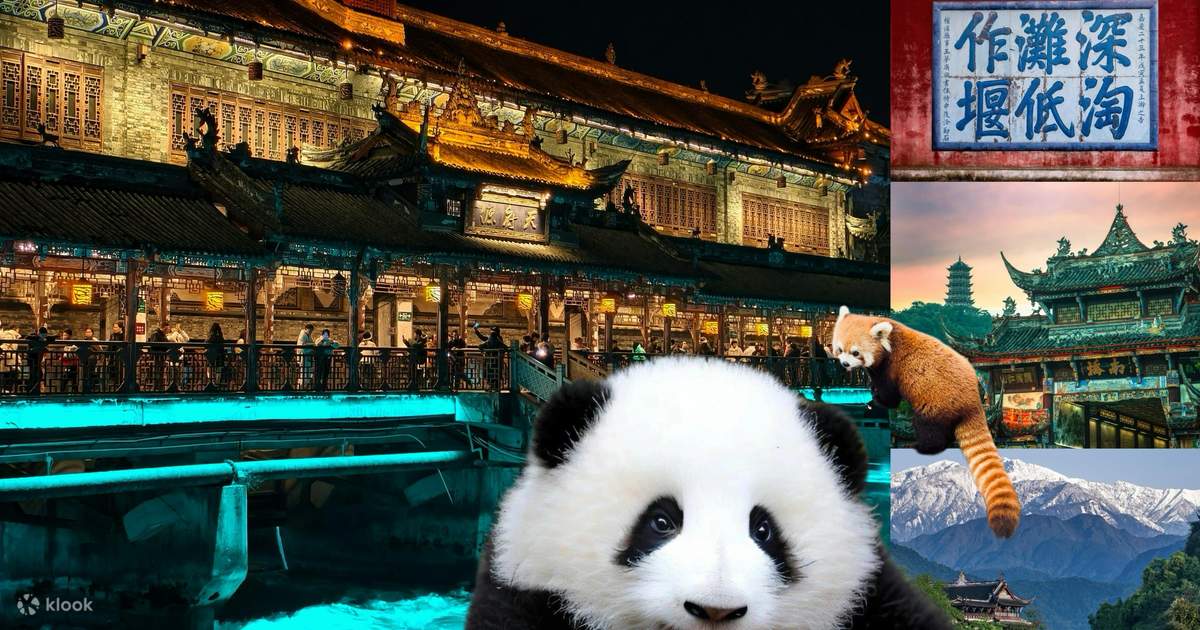 Chengdu Dujiangyan + Panda Base One-Day Tour (Double Heritage Adventure ...
