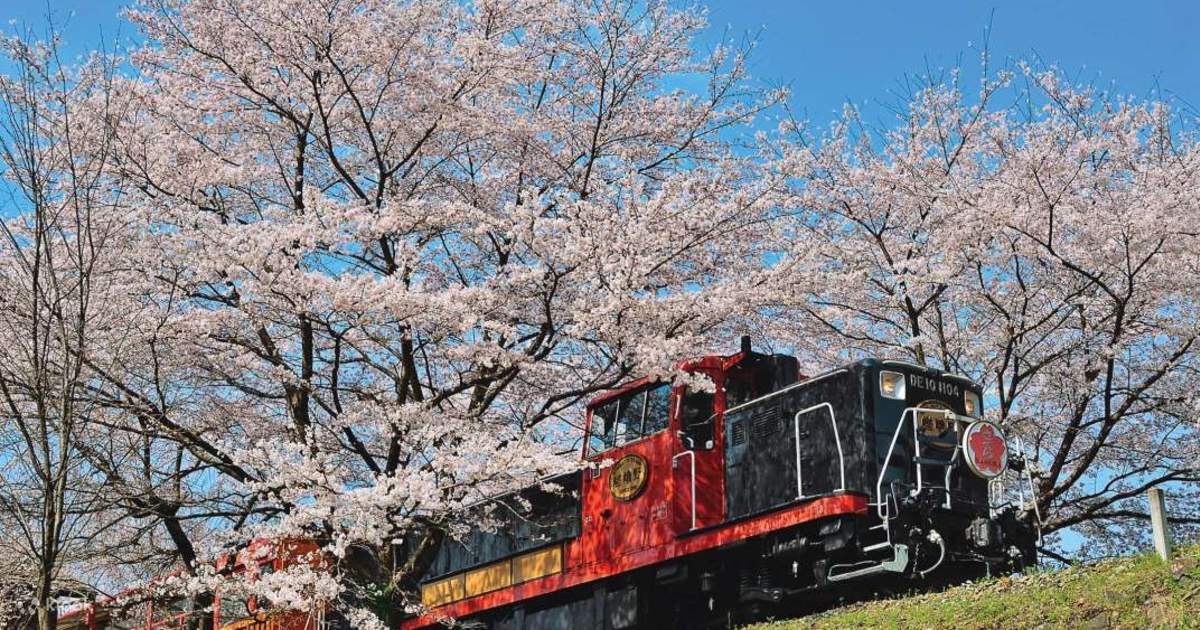 Cherry Blossom, Sagano Train, Fufu no Yu, and Yasaka Shrine Tour ...