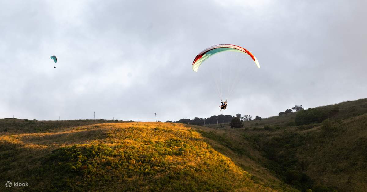 Tandem paragliding flight in Palermo - Klook Canada