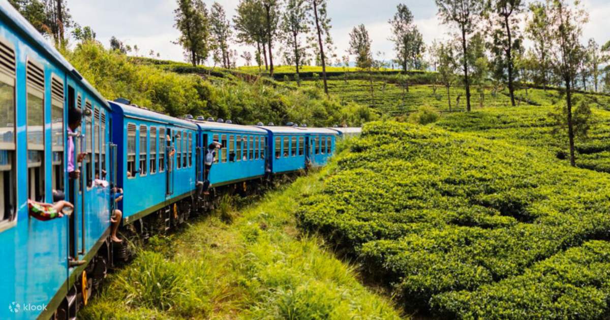 Elegant Tea Odyssey: A Train Journey to the Tea-Covered Hills - Klook ...