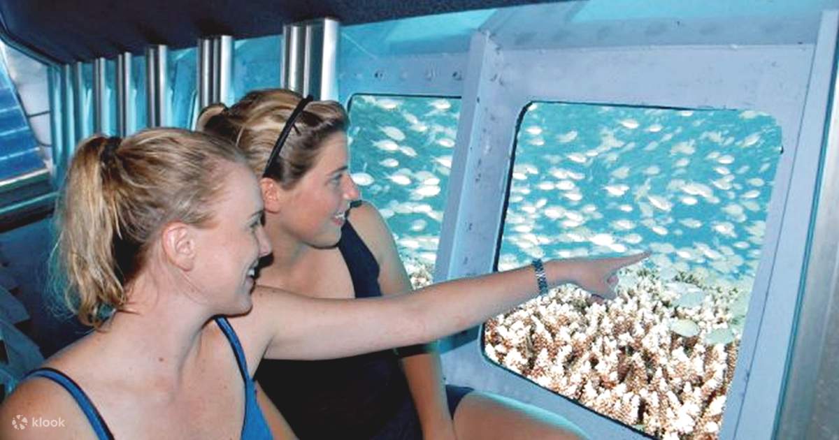 探索红海：半潜艇之旅与浮潜探险 Klook客路