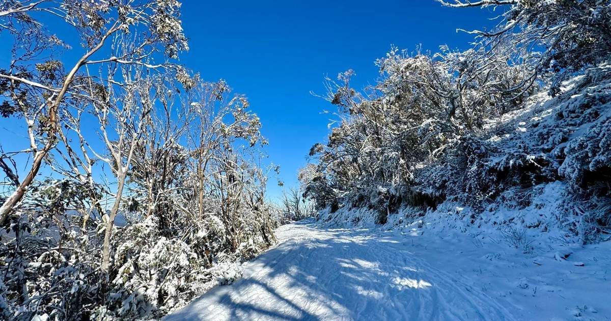 Lake Mountain Snow Tour From Melbourne - Klook