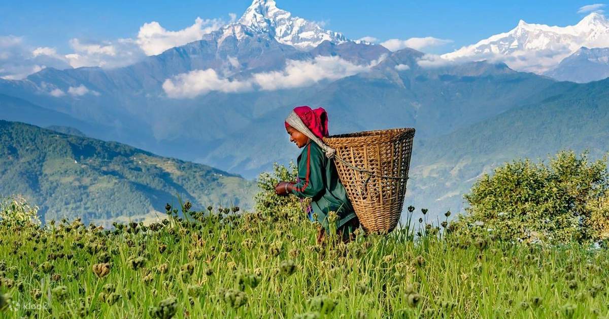 Captivating Annapurna Panoramic Views: Unveiling Pokhara's Spectacular ...