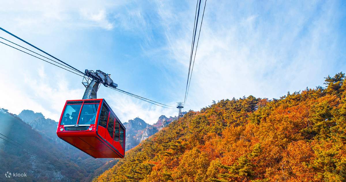 Tour Ngày Ngắm Lá Phong Mùa Thu Daedunsan từ Seoul - Klook Việt Nam