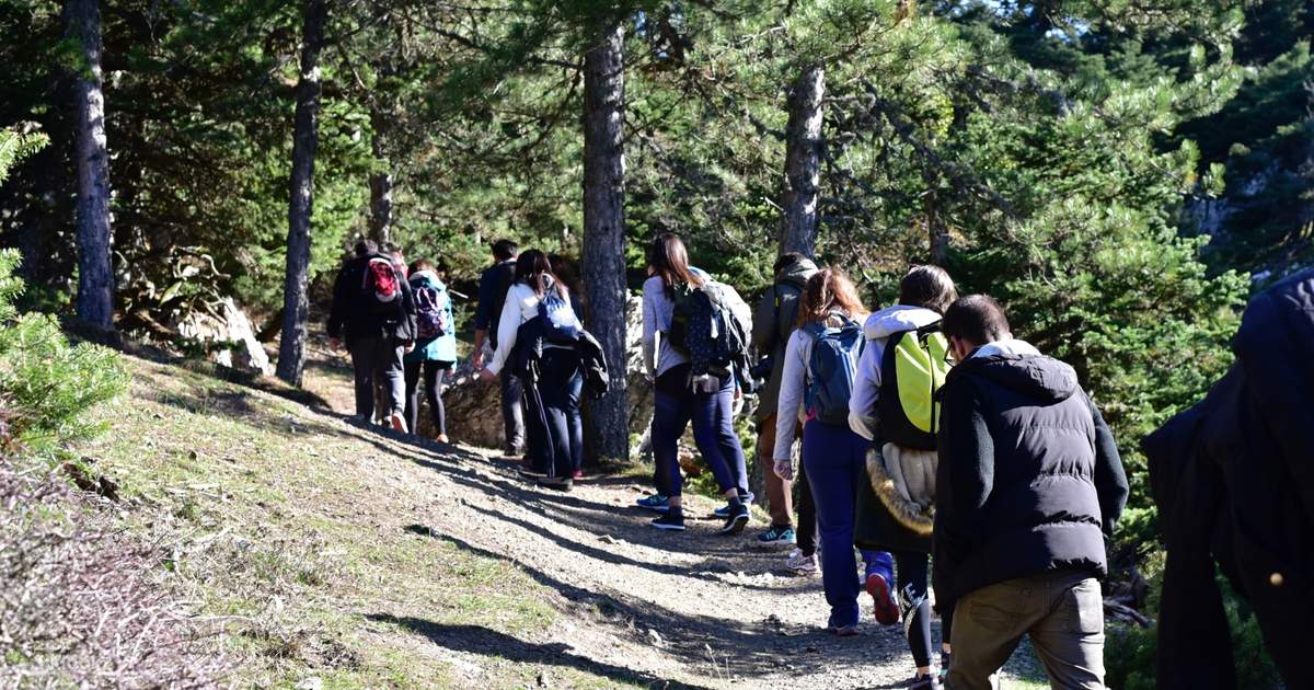 Mt Parnitha Hiking Adventure from Athens - Klook Estados Unidos