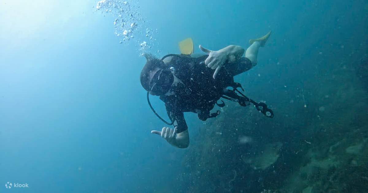 Phu Quoc: Tauch- & Schnorchelabenteuer in den südlichen Inseln - Klook ...