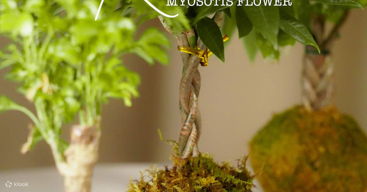 Moss Jade Workshop - Klook