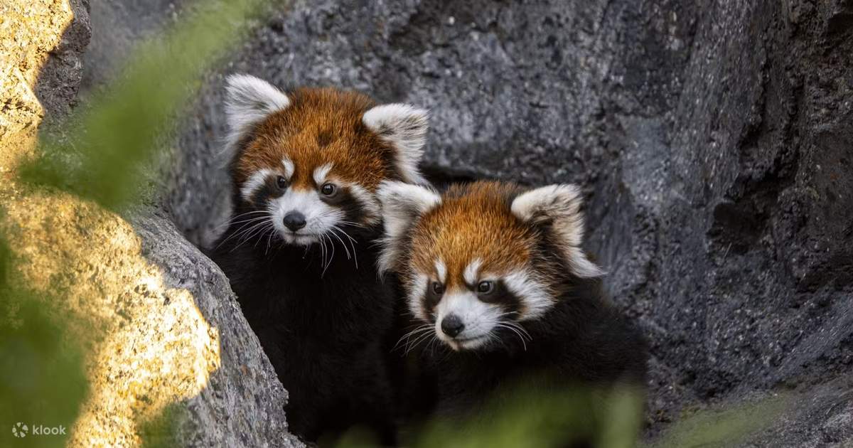 Wilder Institute/Calgary Zoo Entry Ticket - Klook Canada