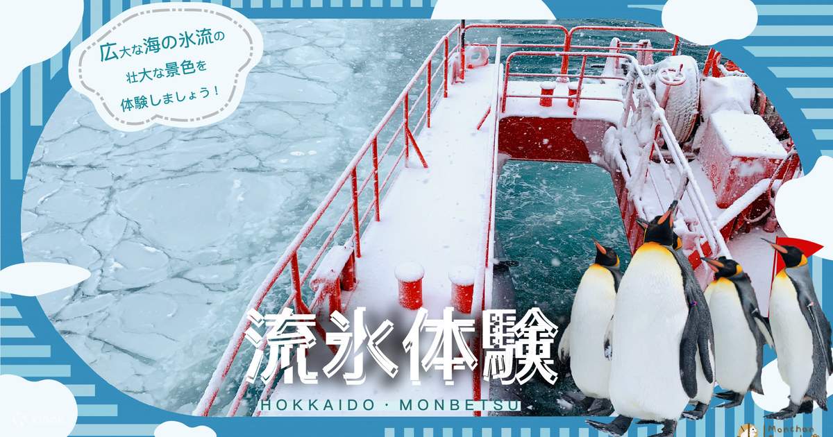 Monbetsu Icebreaker & Asahiyama Zoo & Sounkyo Icefall Festival 2 days ...