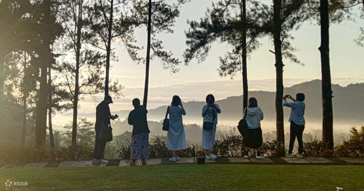 Tour privato di un giorno alla collina di Dagi, al tempio di Borobudur ...