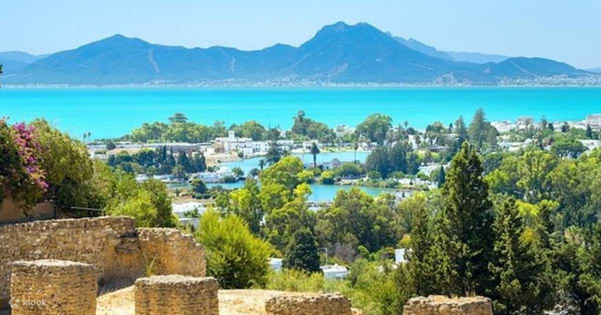 Carthage Discovery Half Day Tour from Tunis - Klook