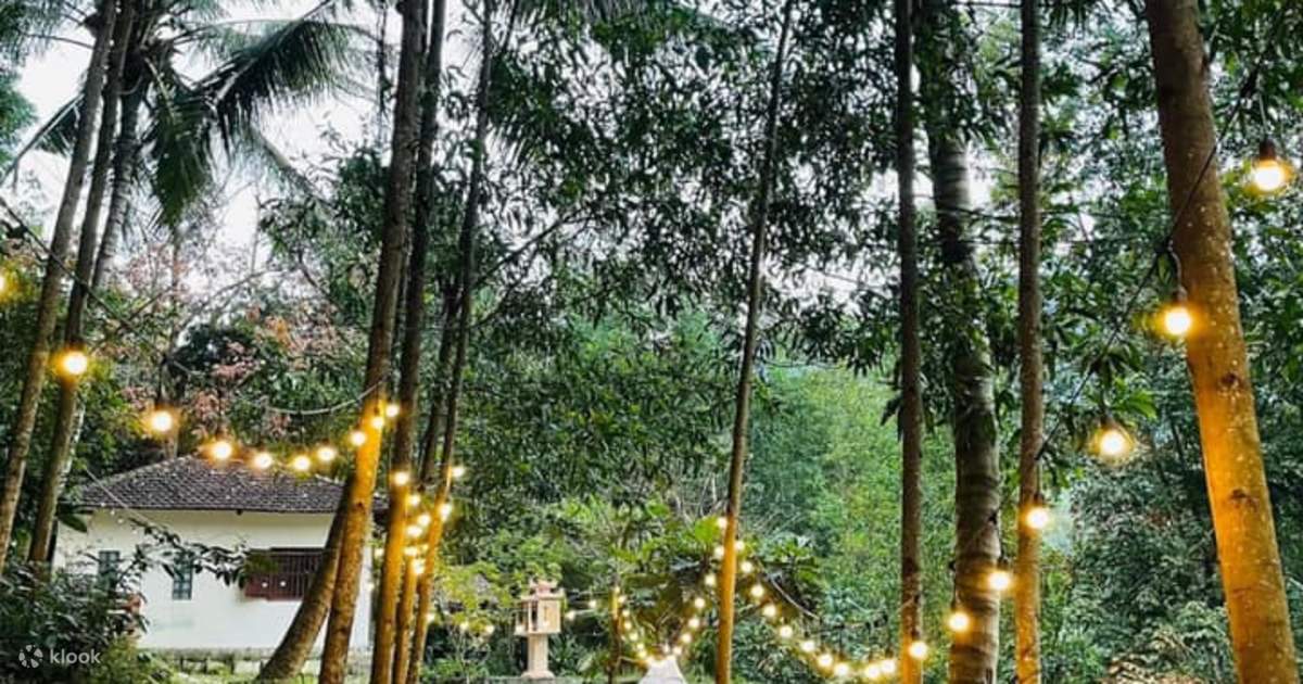 Glamping Experience in Kong Forest Adventure Park - Klook