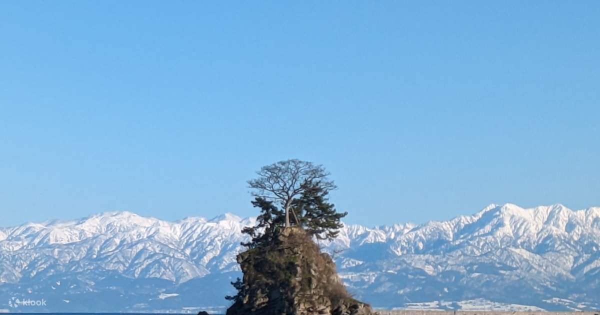 From Kanazawa: Amaharashi Coast, Big Buddha and Shokawa River Cruise ...