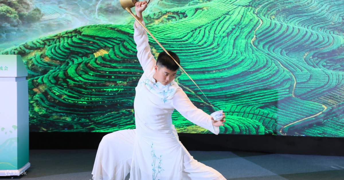 Private one-day tour from Chengdu to Mengding Mountain Tea Garden, tea ...