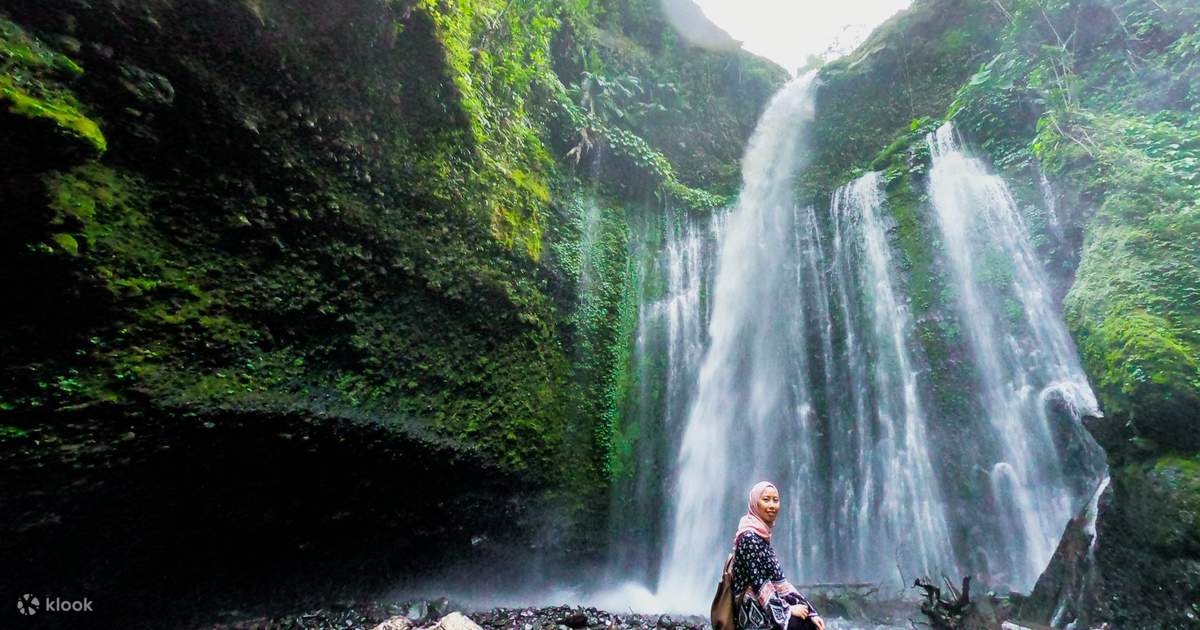 Lombok Waterfalls and Monkey Forest Private Day Tour - 클룩 KLOOK 한국