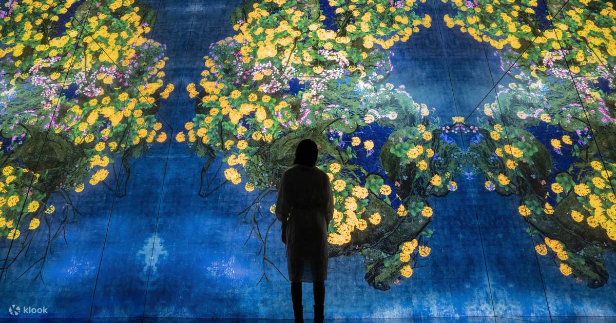 Beijing teamLab Wuxiang Art Space - Klook