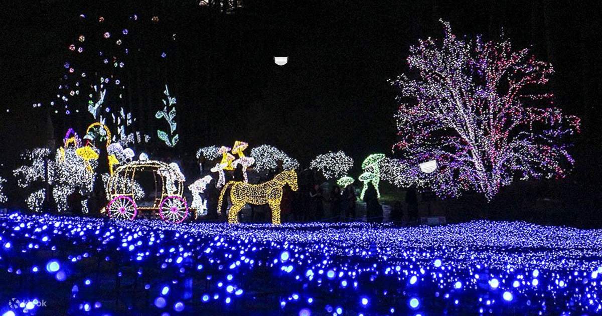 Nami Island and Garden of Morning Calm Lighting Festival Tour - Klook