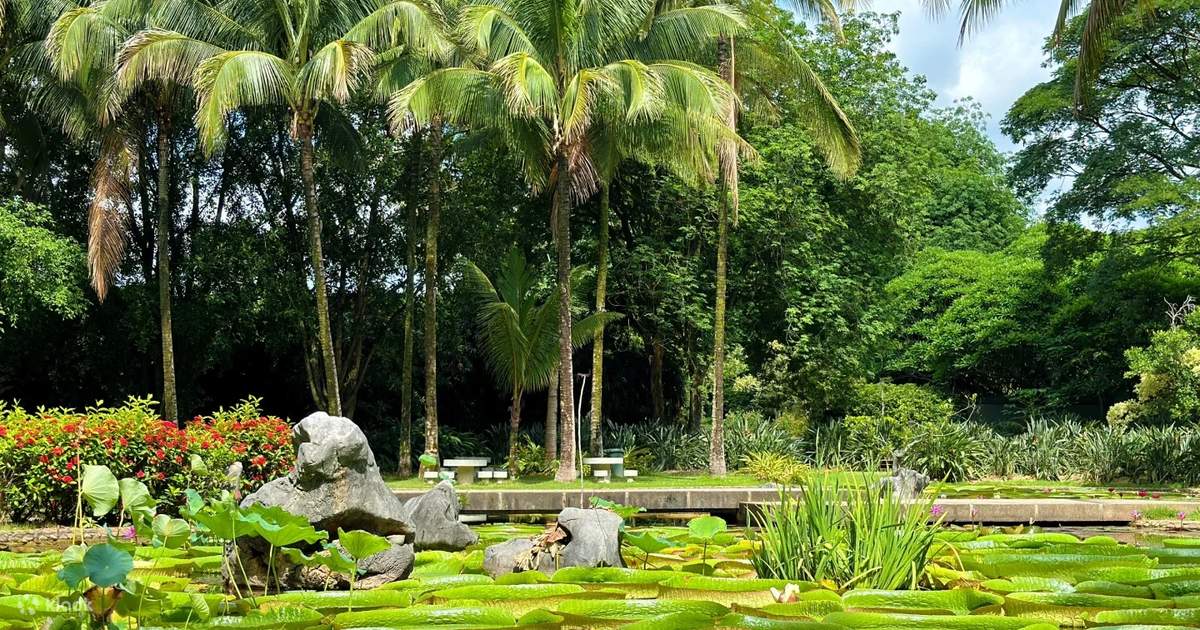 One-day tour of Xishuangbanna Tropical Rainforest Botanical Garden and ...