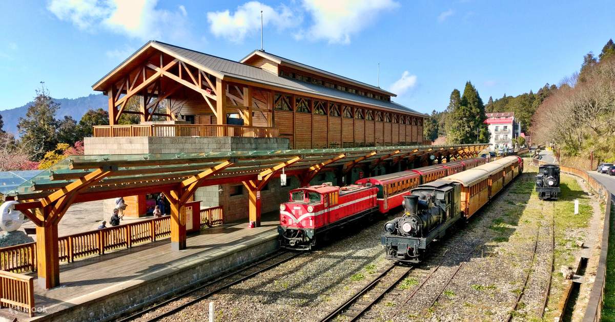 Alishan Day Tour from Taichung, Chiayi, or Kaohsiung - Klook Philippines
