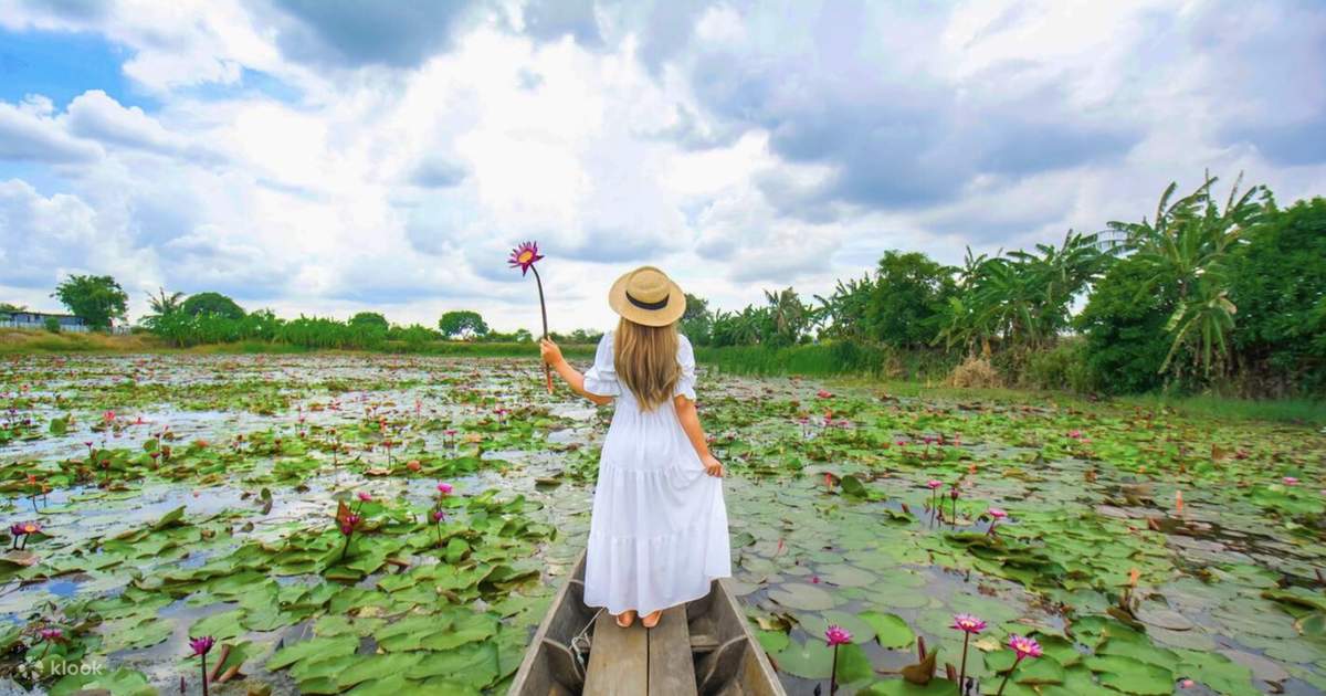 Nakhon Pathom Day Tour: Red Lotus Pond, Bubble in the Forest by AK ...