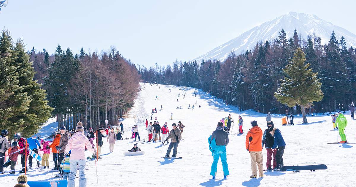 Mt. Fuji Yeti Snow Resort Ski/Snow Fun & Izu Fruit Park Strawberry ...
