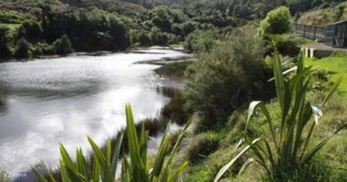 จุดเด่นของพื้นที่ชุ่มน้ำ Tautari - Klook ประเทศไทย