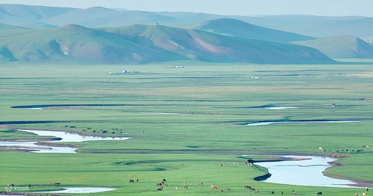 Hulunbuir Grassland and Morgele River One-Day Tour with Chinese Service ...