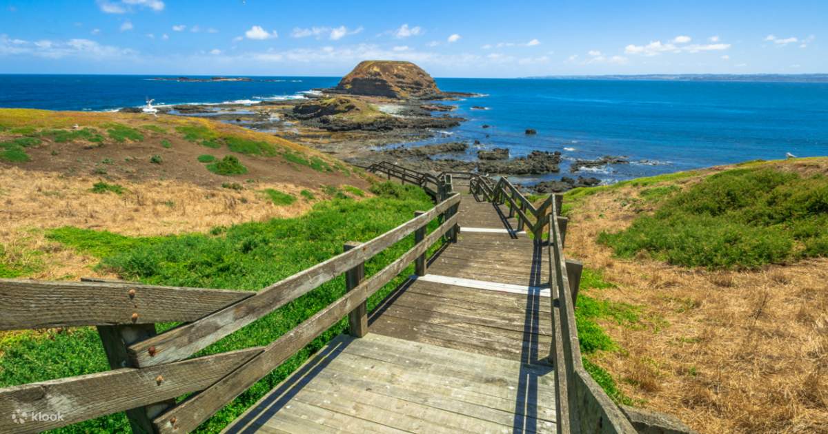 Phillip Island Day Tour - Klook