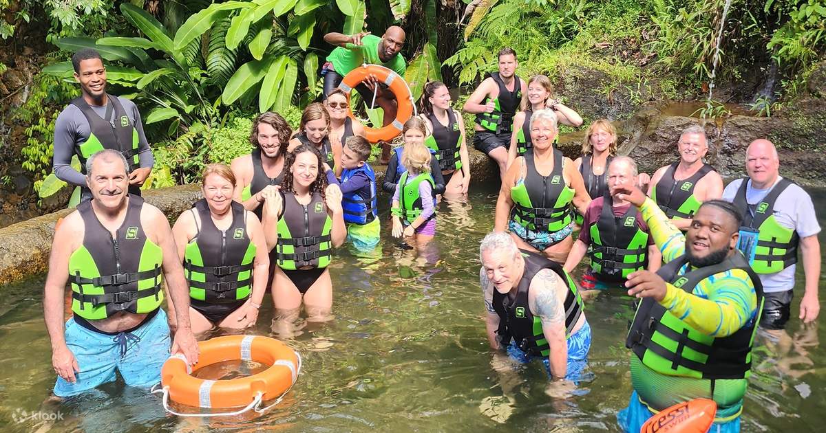 Champagne Reef, Dominica & Titou Gorge Half-day Hot Spring & Shore ...