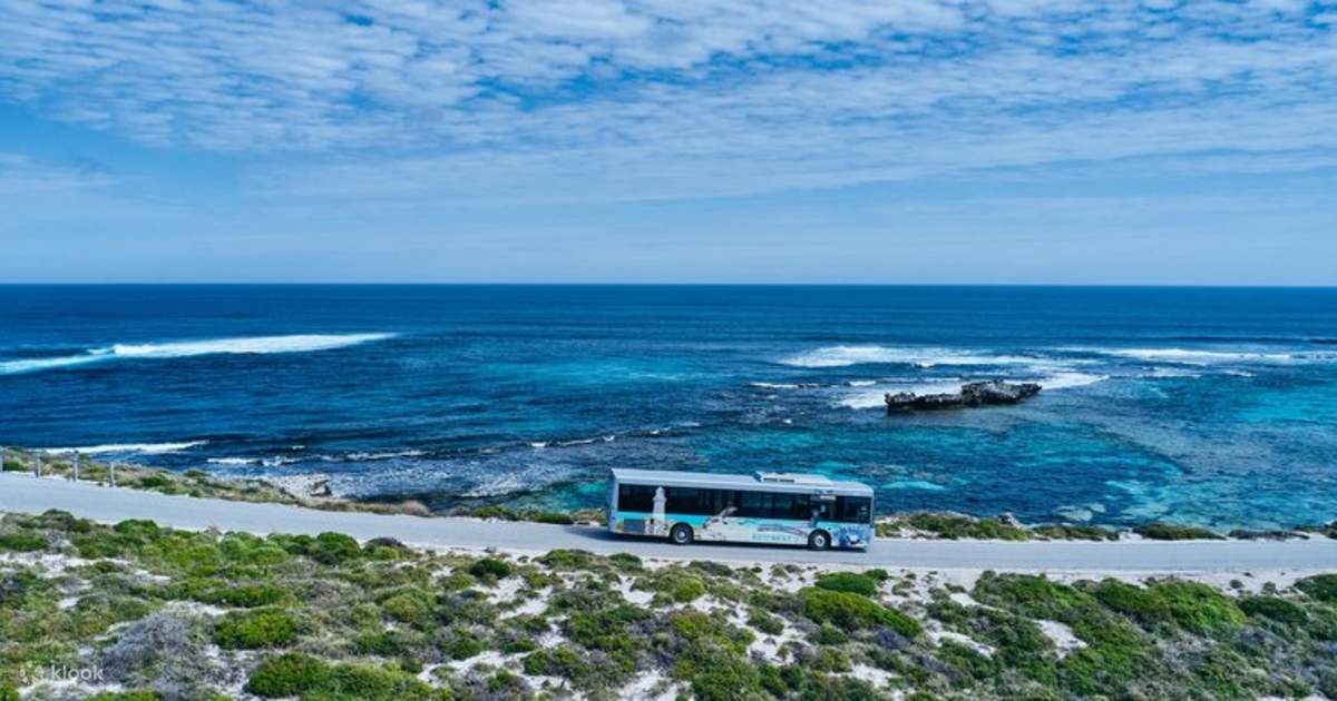 Tur Pulau Rottnest (Panduan Jepang) - Klook Indonesia