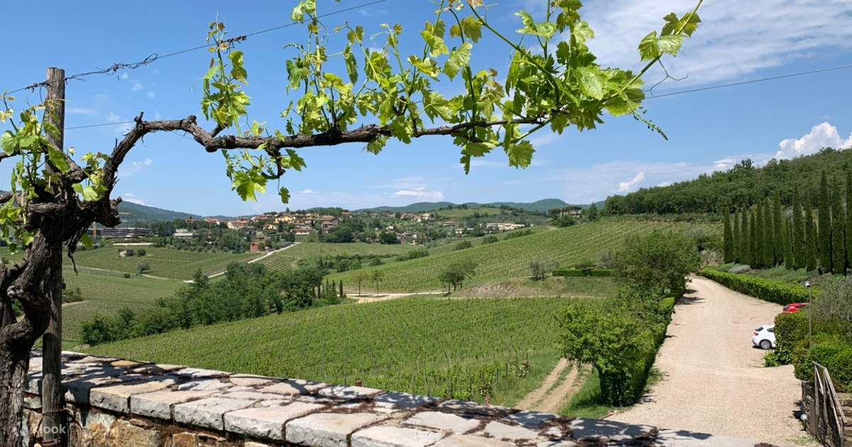 Chianti Hills And Radda Wine Experience in Radda in Chianti - Klook ...