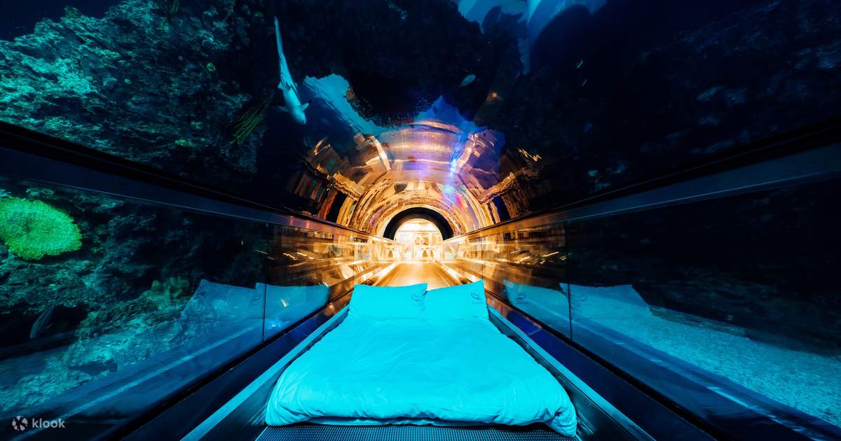 National Museum of Marine Biology and Aquarium Sleepover Experience in ...